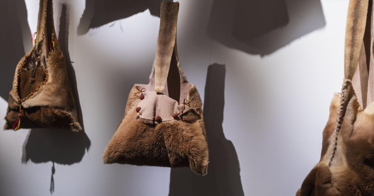 Opening | Barangga: First Nations Design | UNSW Sydney