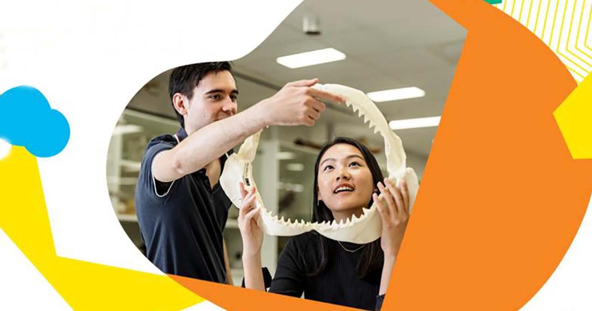 UNSW Education Festival 2023 | UNSW Sydney