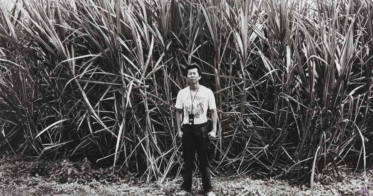 Unpacking Murder: William Yang & Ellie Buttrose | UNSW Sydney